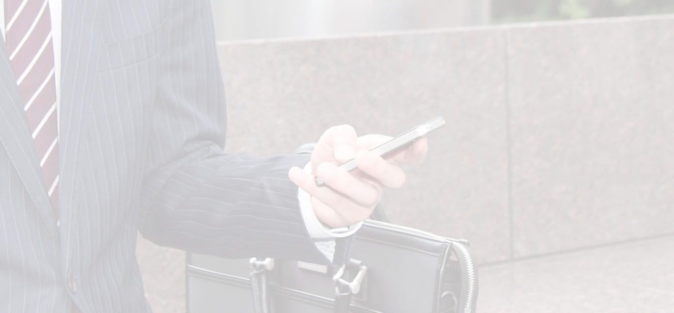 TWIMO-WEBシステム